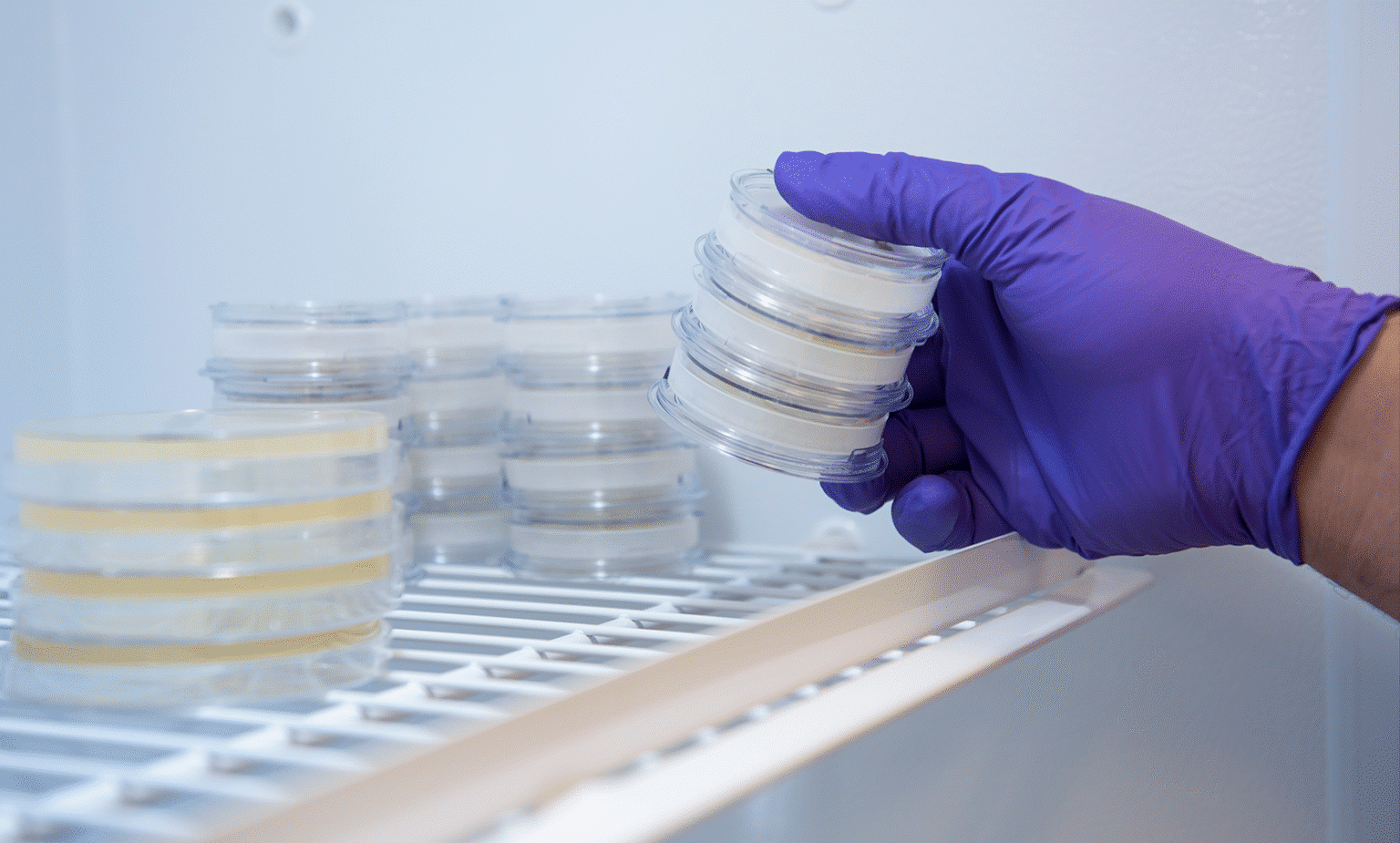 503a & 503b Compounding Pharmacy Compliance | cGMP Compliance Services